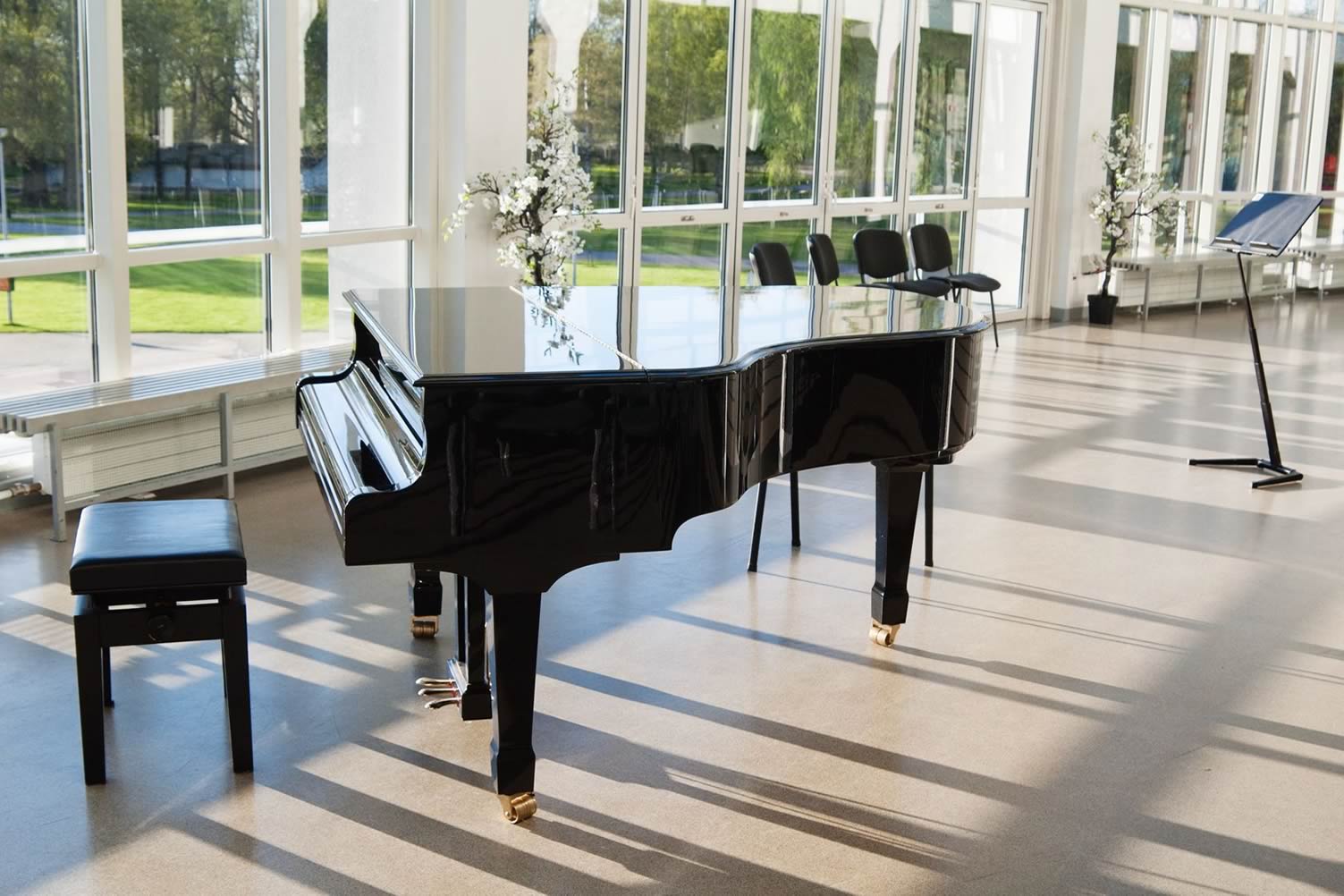 Dedicated Piano Room for Music Lovers | Photo Remodeling Analysis